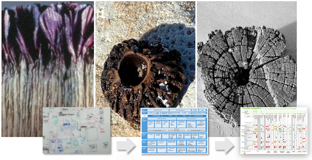 Evergreen Technology Asset Management – Strategy & Architecture